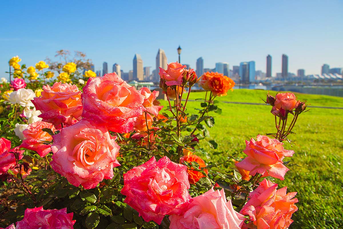 Spring Things To Do in San Diego